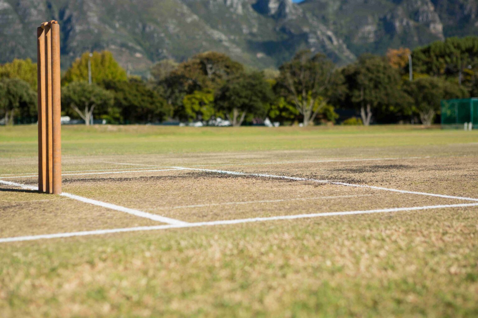Cricket Field Explained – Difference Between Infield and Outfield